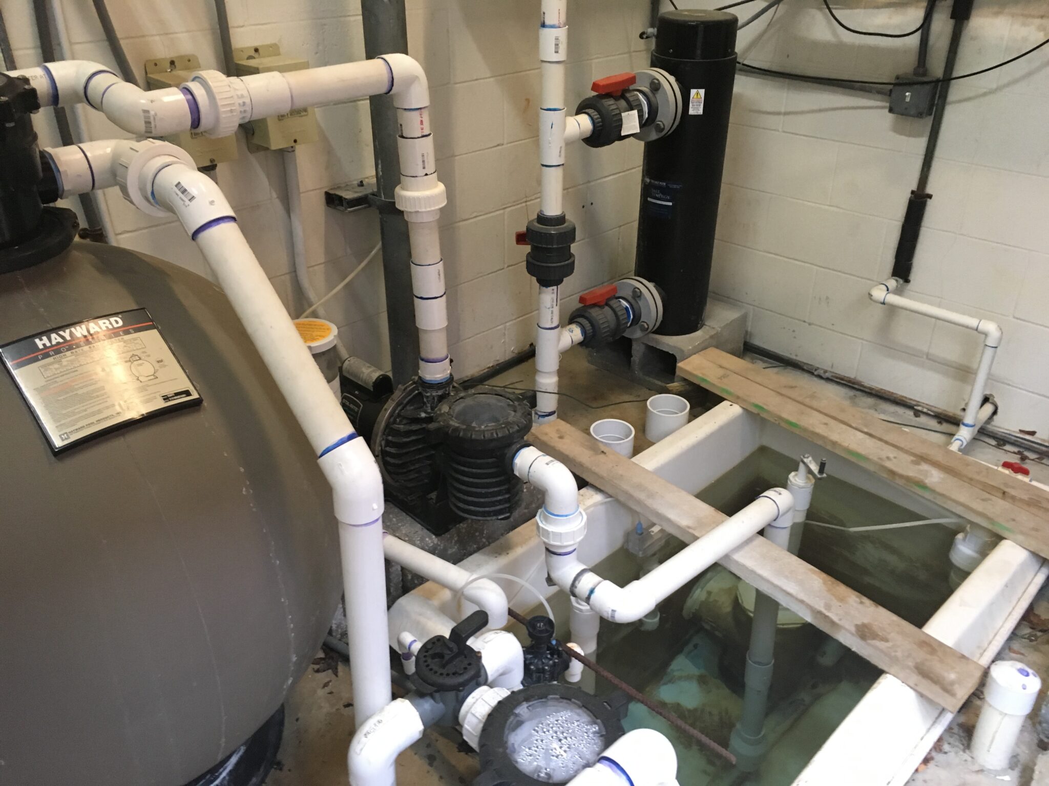 Cold Plunge Pool Maintenance: Essential Tips for Pool Professionals ...